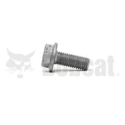 Bobcat Screw Flanged Head Cap - 29CM1025 - Williams Machinery